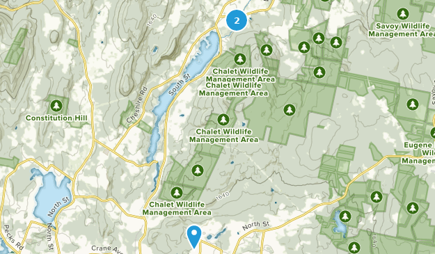 Best Trails in Chalet Wildlife Management Area - Massachusetts | AllTrails