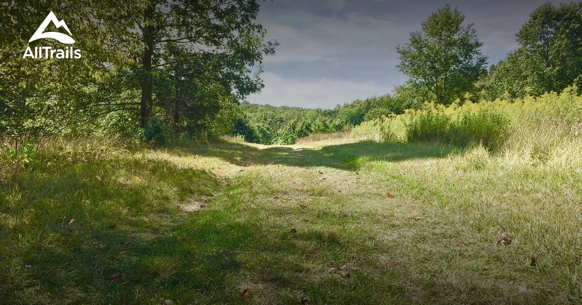 Best hikes and trails in Cascade Peace Park | AllTrails