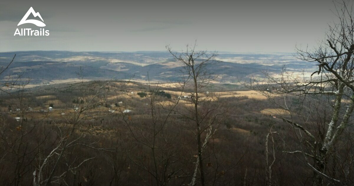 Best hikes and trails in Mount Hayden State Forest | AllTrails