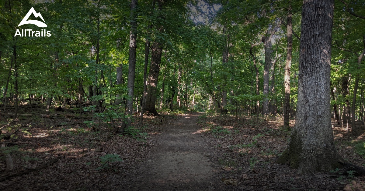 Best hikes and trails in Robinson Park | AllTrails