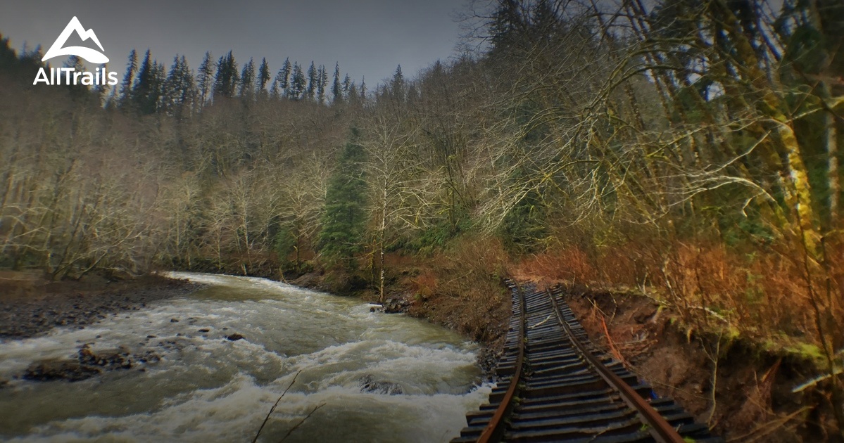 Best Trails in Clatsop State Forest - Oregon | 136 Photos & 68 Reviews ...