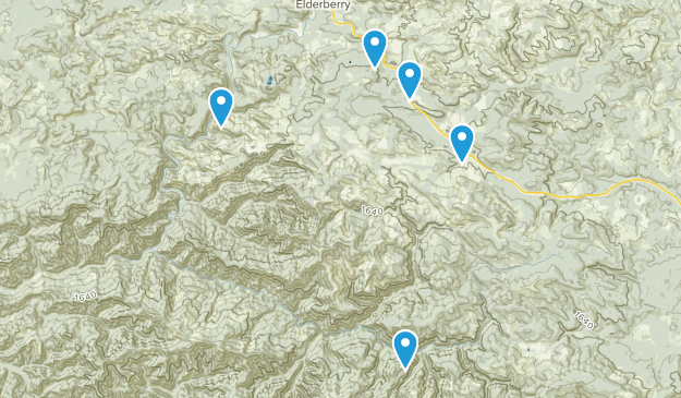 Best Trails in Clatsop State Forest - Oregon | AllTrails