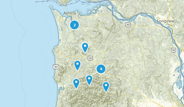 Best Trails in Clatsop State Forest - Oregon | AllTrails