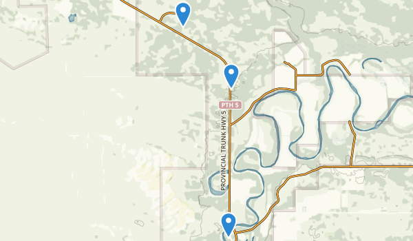 Best Trails in Spruce Woods Provincial Park | AllTrails.com