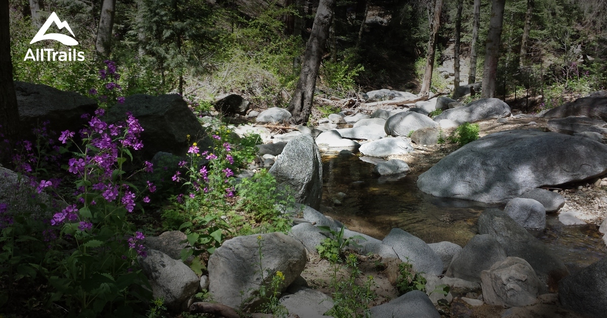 Best Trails in San Bernardino National Forest - California | AllTrails