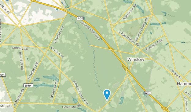 Best Trails in Winslow Fish and Wildlife Management Area - New Jersey ...