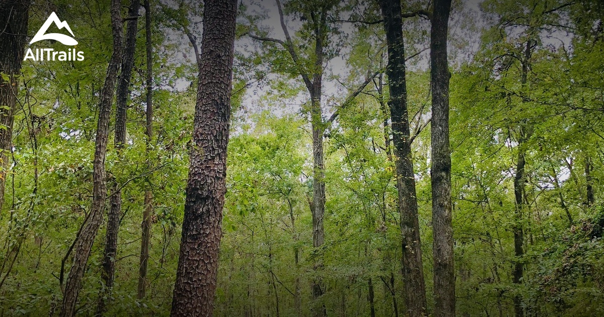 Best hikes and trails in North Charleston Wannamaker County Park ...