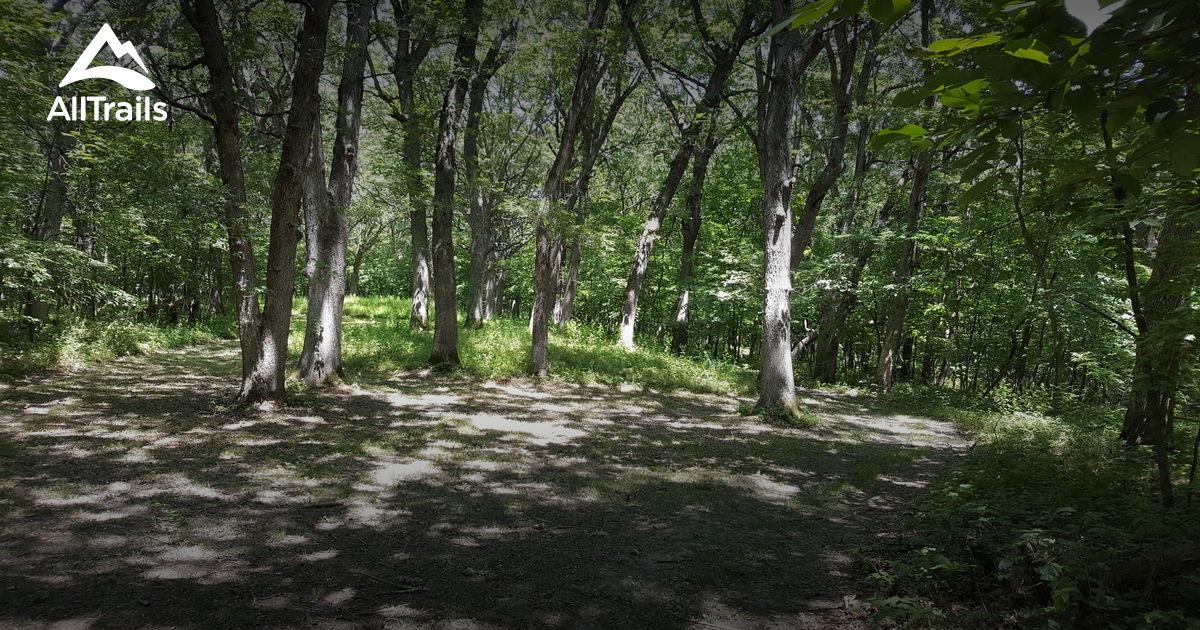 Best hikes and trails in Woodland Mounds Preserve | AllTrails