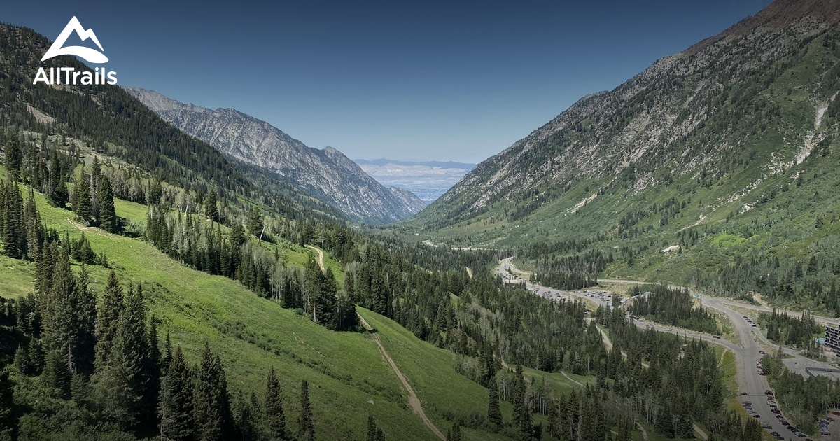 Best Trails in Snowbird Ski Resort - Utah | AllTrails