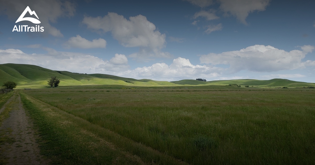 Best Trails in Tolay Lake Regional Park - California | AllTrails