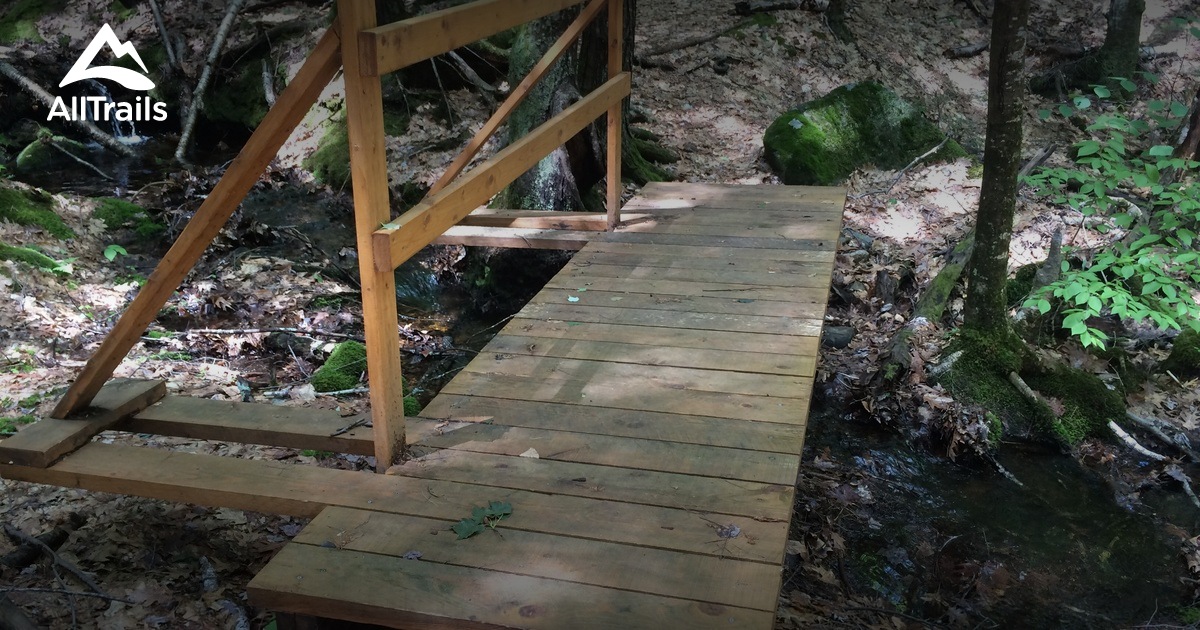 Best forest trails in Sheldrick Forest | AllTrails