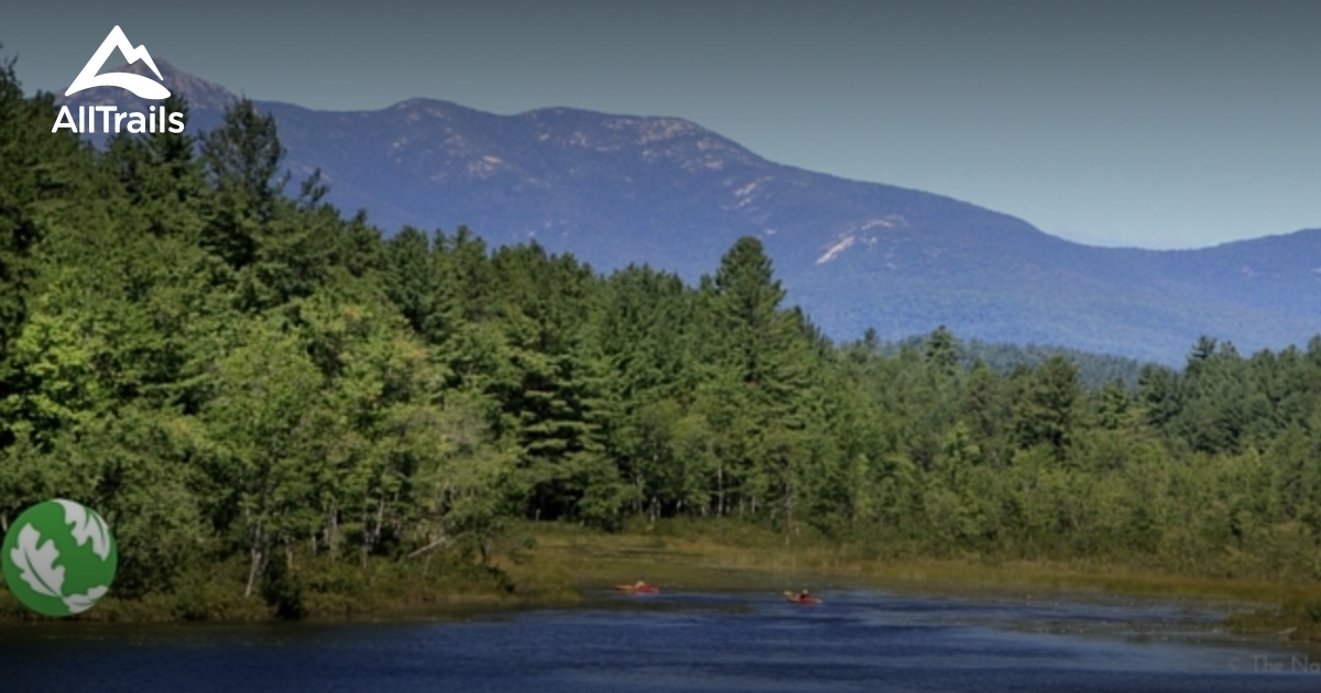 Best Trails in Ossipee Pine Barrens - New Hampshire | AllTrails