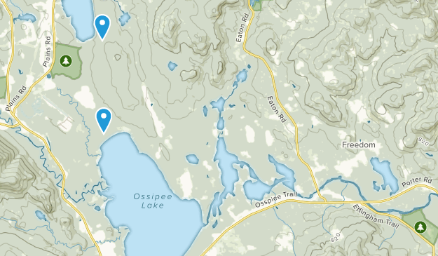 Best Trails in Ossipee Pine Barrens - New Hampshire | AllTrails