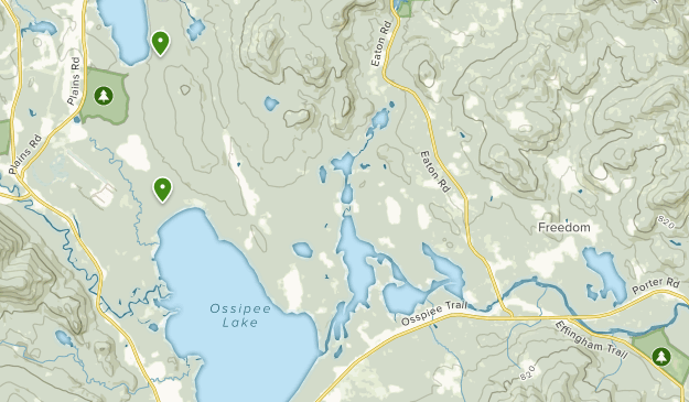 Best Trails in Ossipee Pine Barrens - New Hampshire | AllTrails