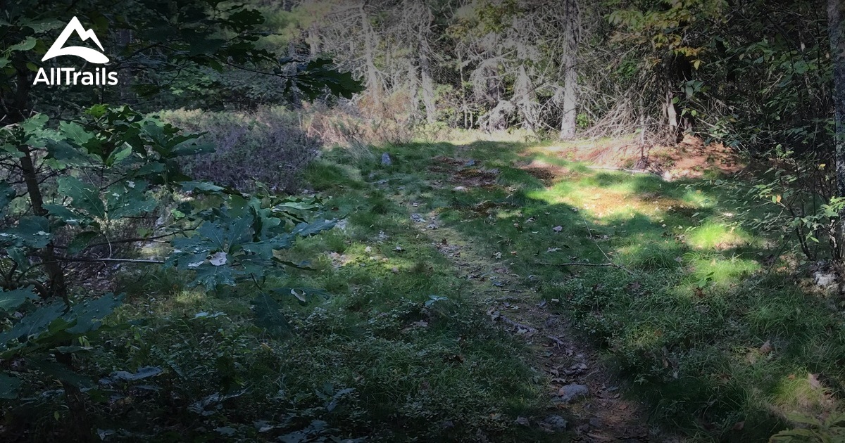 Best hikes and trails in Mt. Teneriffe Preserve | AllTrails