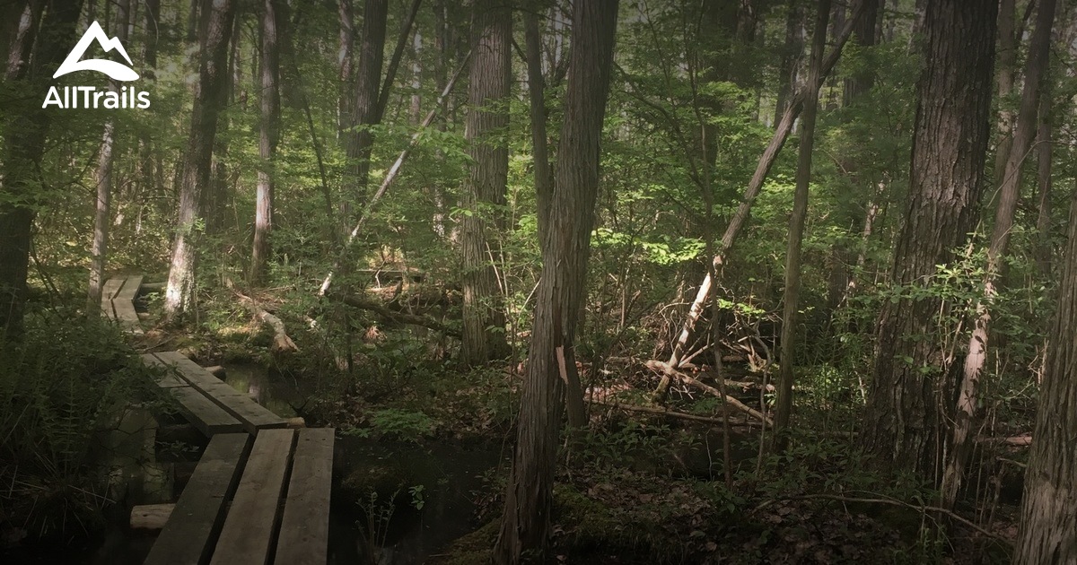 Best Trails in Manchester Cedar Swamp Preserve - New Hampshire | AllTrails