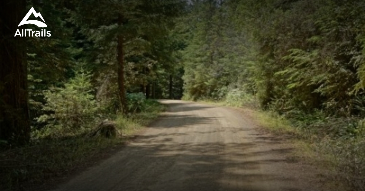 Best Trails in Jackson Demonstration State Forest - California | AllTrails