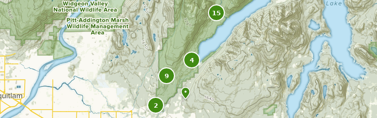 Best Trails in Golden Ears Provincial Park - British Columbia, Canada ...