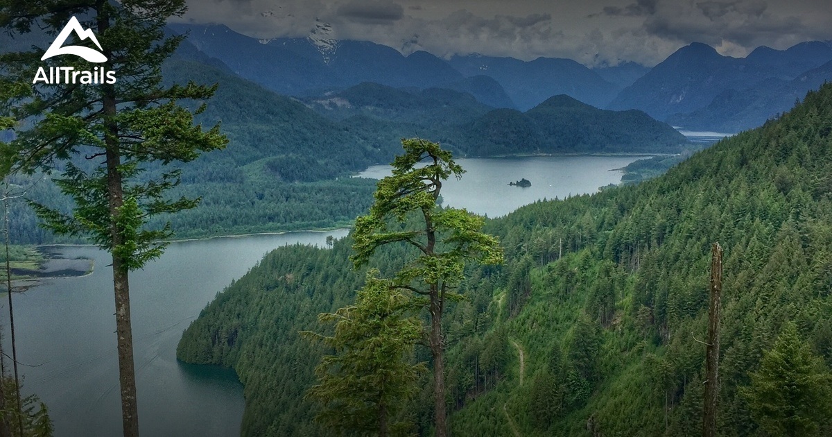 Best Trails in Mission Municipal Forest - British Columbia, Canada ...
