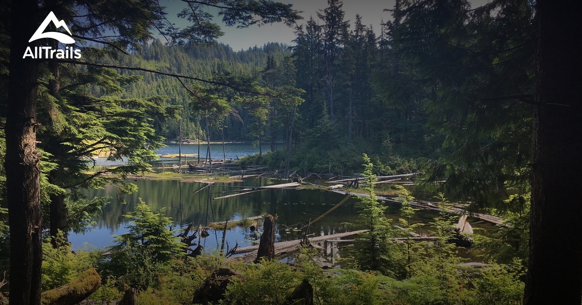 Best Trails in Mission Municipal Forest - British Columbia, Canada ...