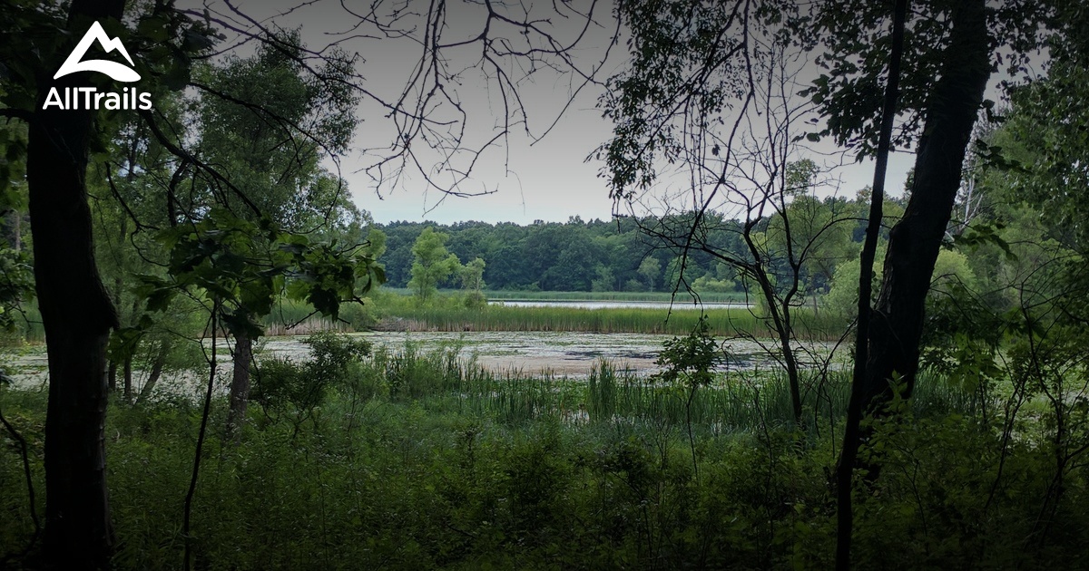 Best hikes and trails in Asylum Lake Preserve | AllTrails