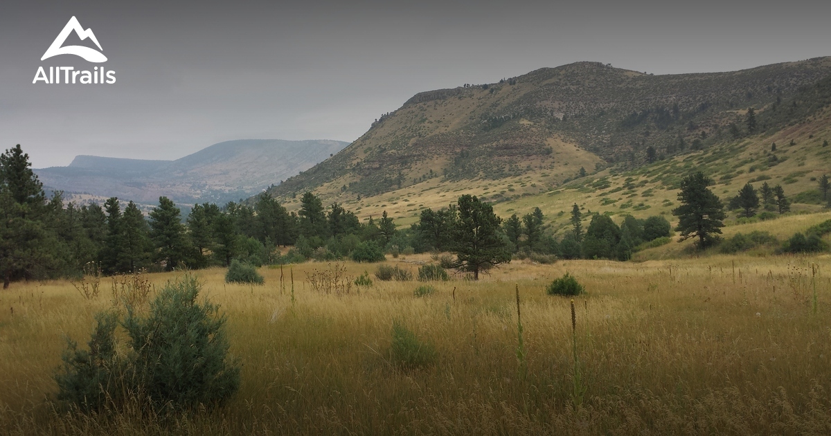 Best Hikes and Trails in Heil Valley Ranch | AllTrails