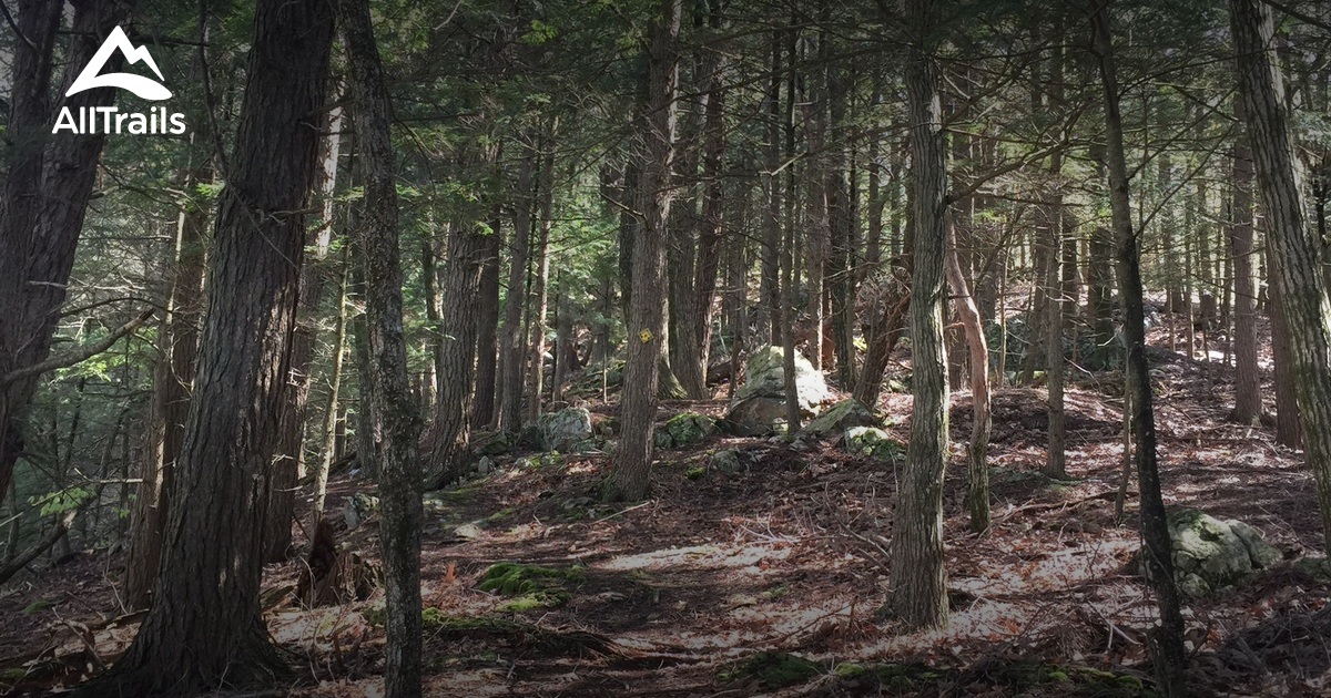 I migliori sentieri di trail running in Ruth C. Warwick Preserve ...