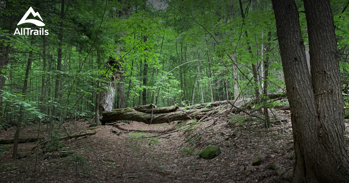 Best hikes and trails in Otter Brook Preserve | AllTrails