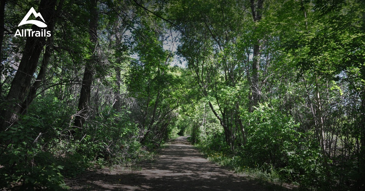 Best river trails in Rundle Park | AllTrails
