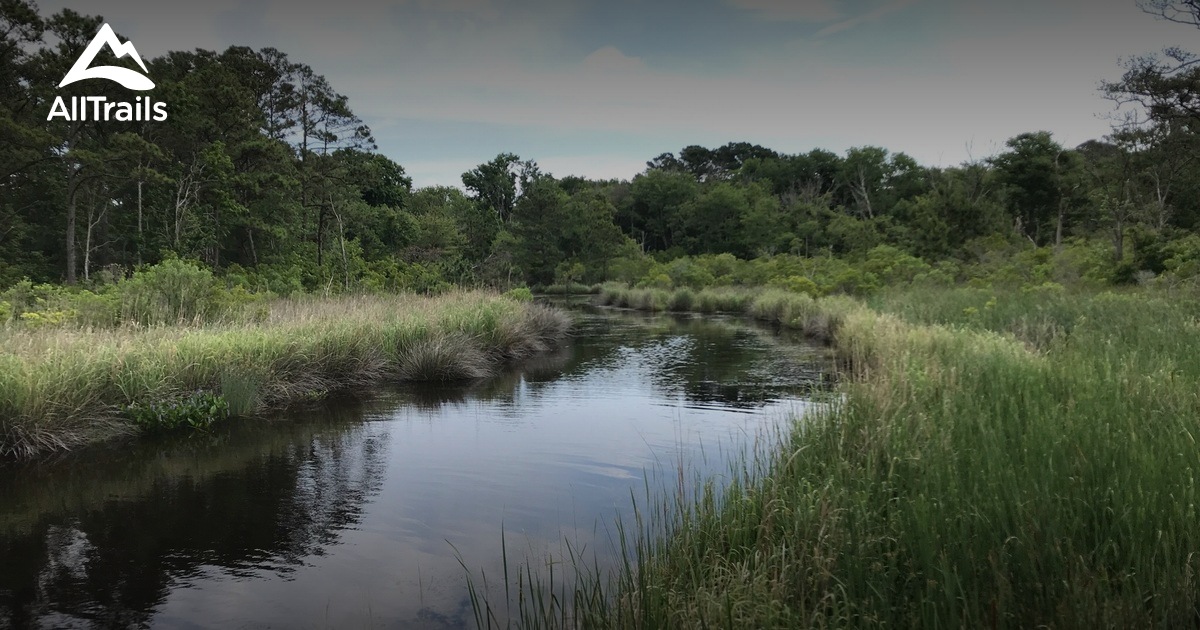Best hikes and trails in Currituck Banks Reserve | AllTrails