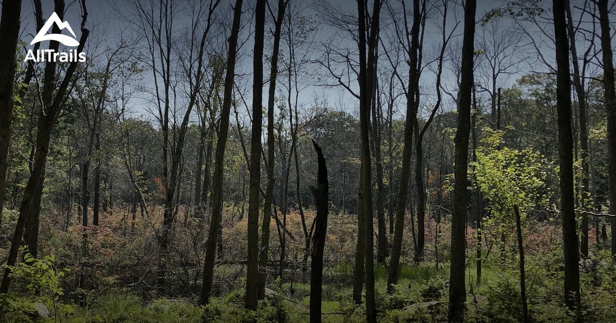 Best Trails in Delaware State Forest - Pennsylvania | AllTrails