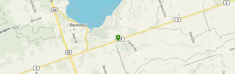 Best Hikes and Trails in Rice Lake Conservation Area | AllTrails