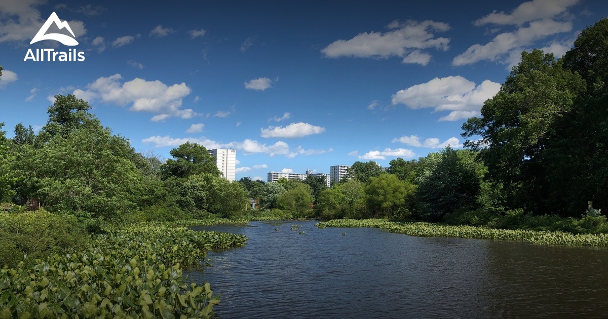 Best hikes and trails in Newton Lake Park | AllTrails