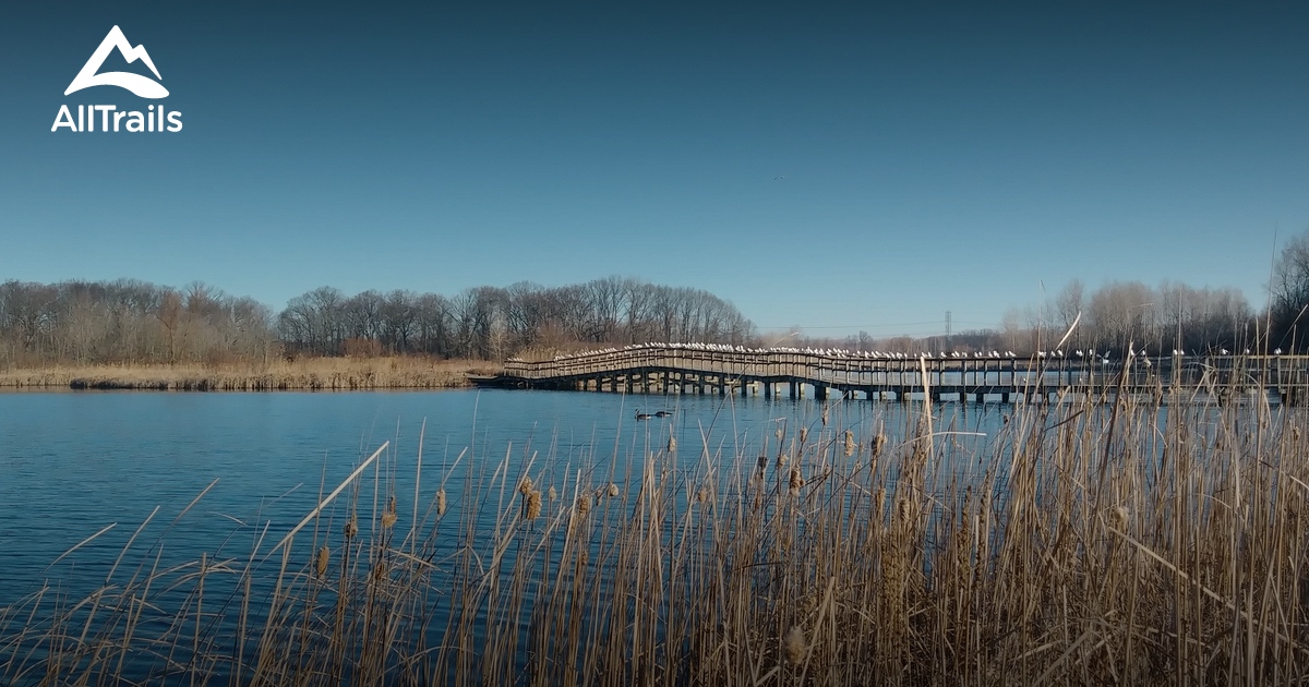 Best Trails in Crosswind Marsh Preserve - Michigan | AllTrails
