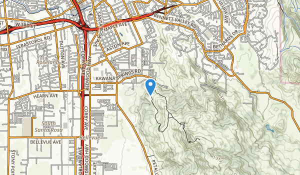 Best Trails in Taylor Mountain Regional Park and Open Space Preserve ...