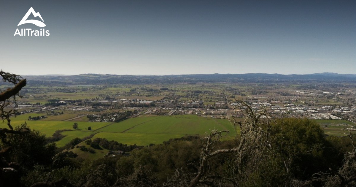 Best Trails in Taylor Mountain Regional Park and Open Space Preserve ...