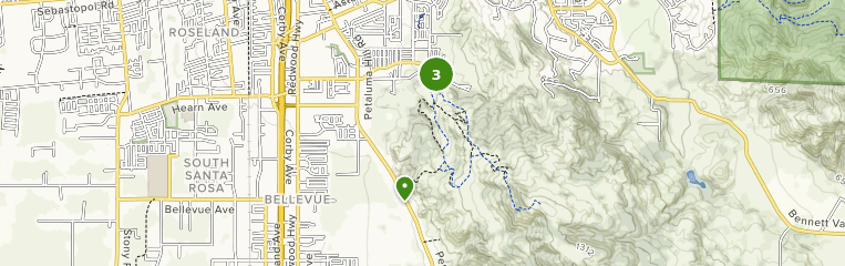 Best Trails in Taylor Mountain Regional Park and Open Space Preserve ...