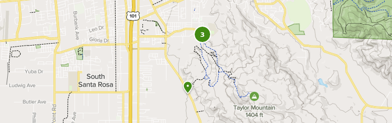Best Trails in Taylor Mountain Regional Park and Open Space Preserve ...