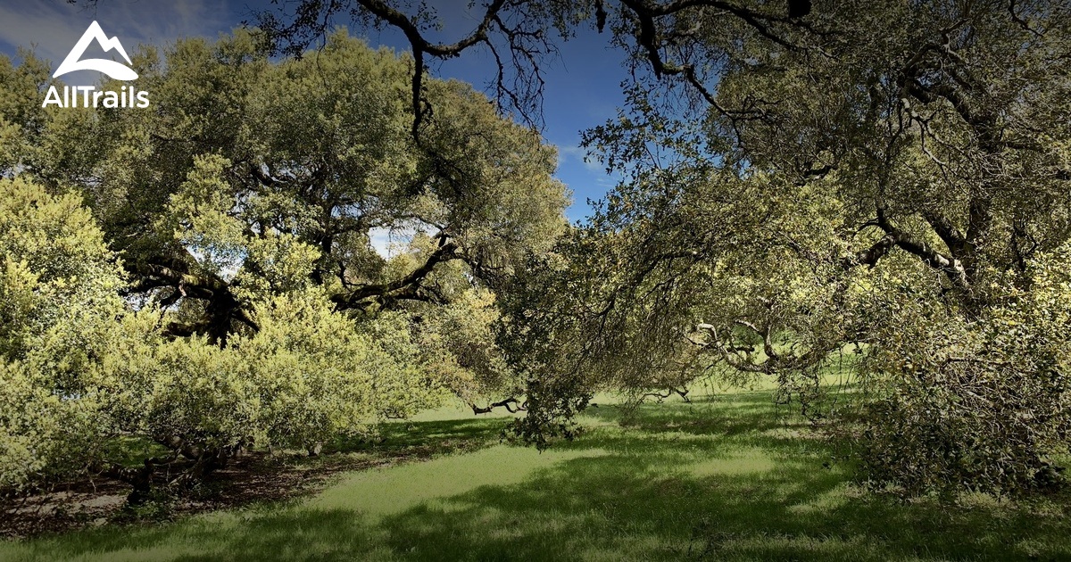 Best moderate trails in Taylor Mountain Regional Park and Open Space ...