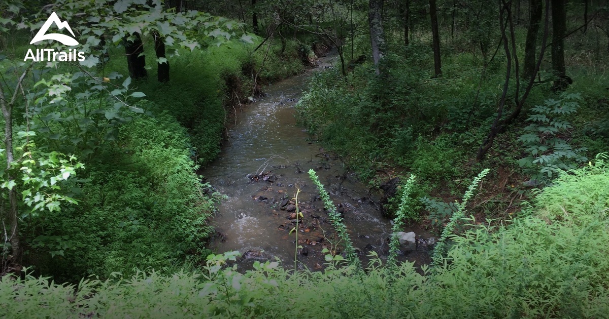 Best Trails in Duke Forest - North Carolina | AllTrails