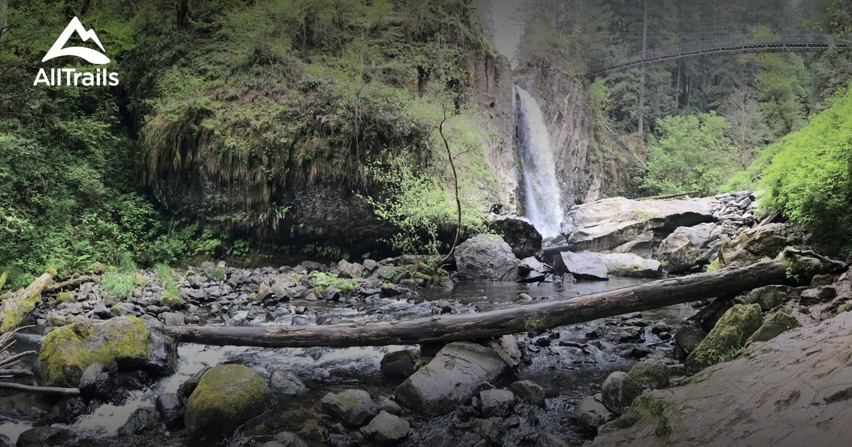 Best Trails in Siuslaw National Forest - Oregon | AllTrails