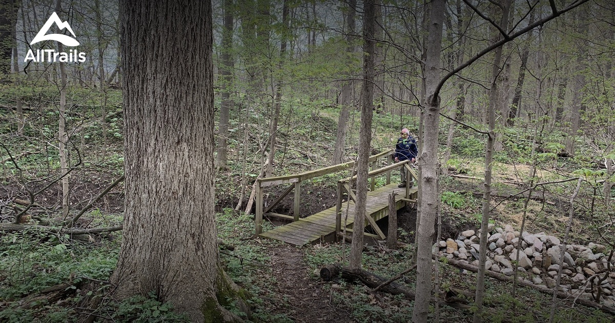 Best hikes and trails in Olin Lake Nature Preserve | AllTrails