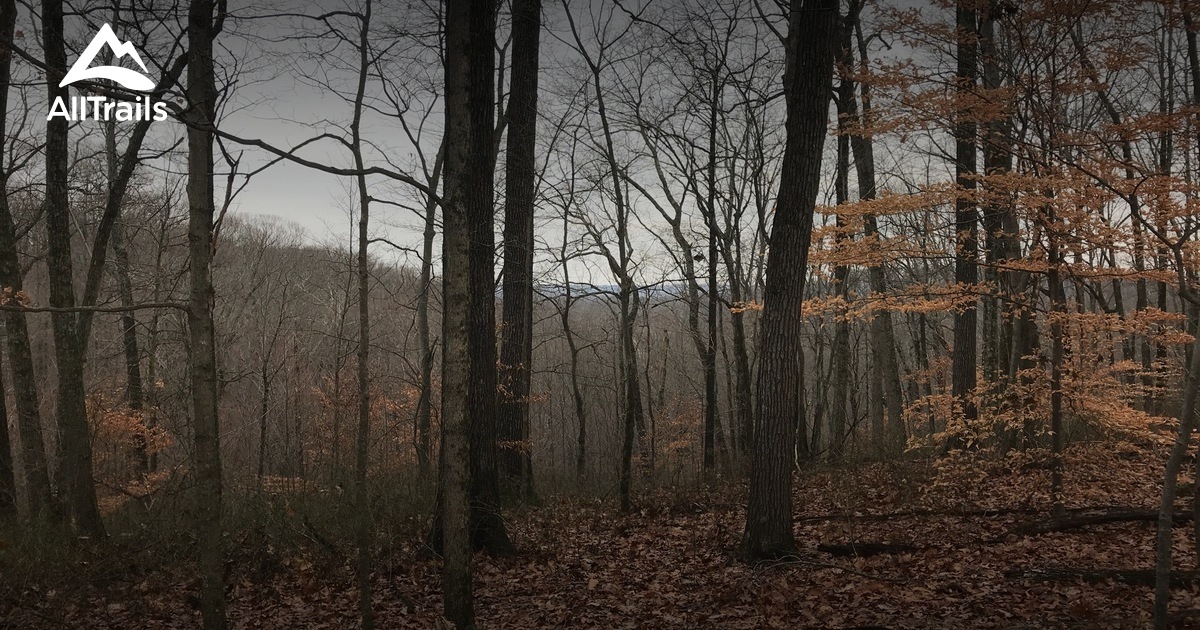 Best Trails in Clark State Forest - Indiana | AllTrails