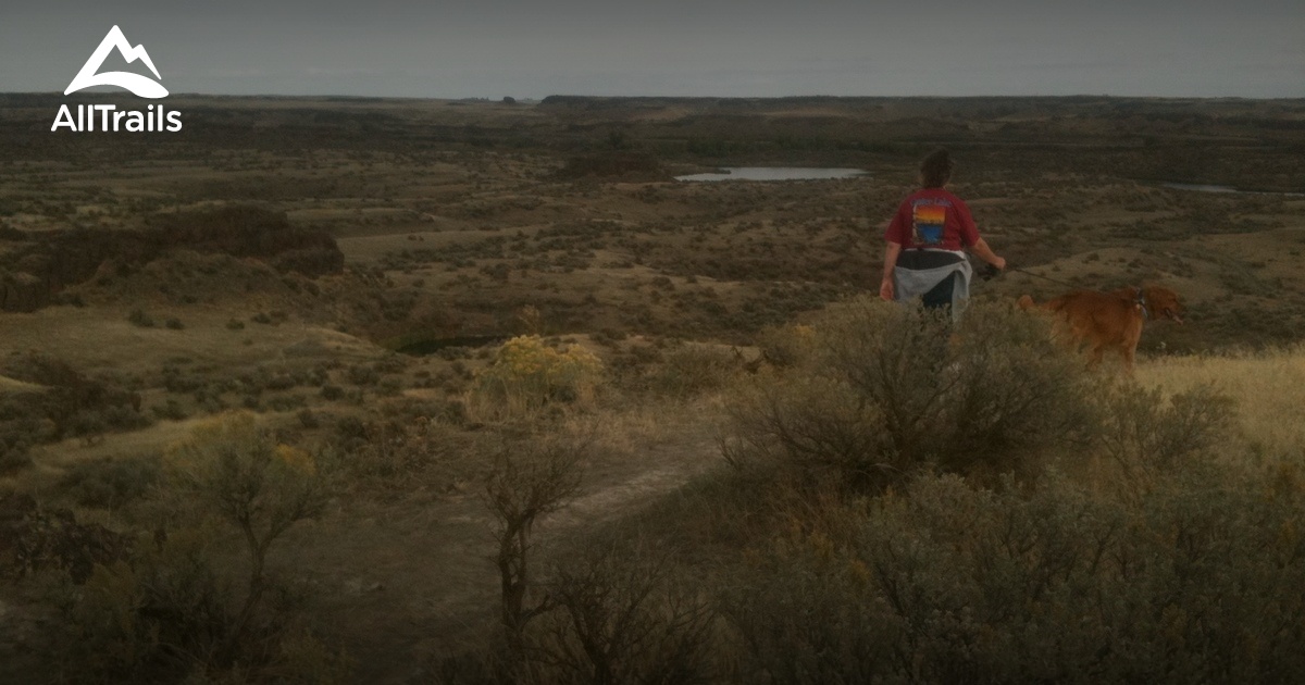 Best kid-friendly trails in Columbia National Wildlife Refuge | AllTrails