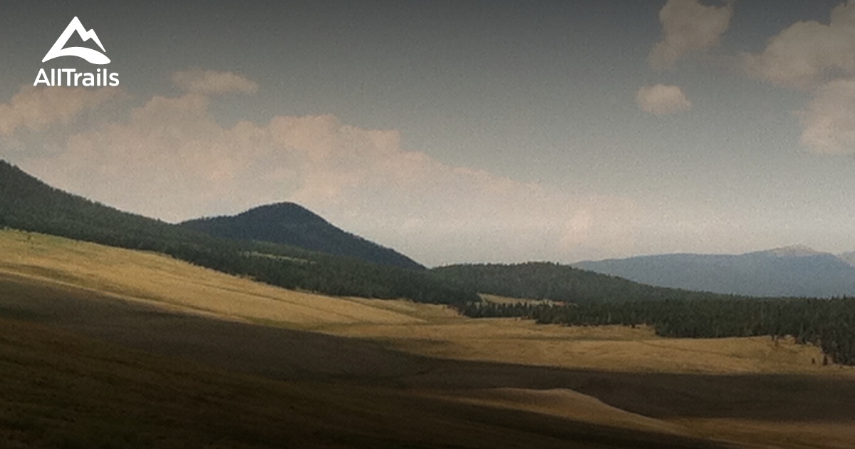 Best Trails in Valle Vidal Unit - New Mexico | AllTrails