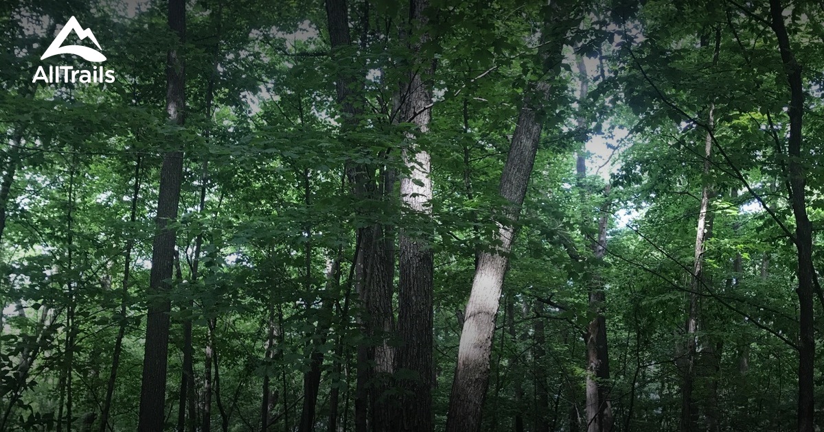 Best hikes and trails in Mequon Nature Preserve | AllTrails