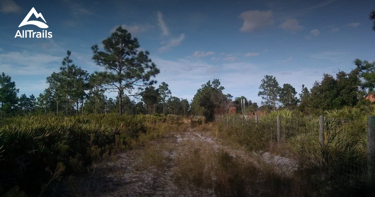 Best Trails in Hal Scott Preserve - Florida | AllTrails