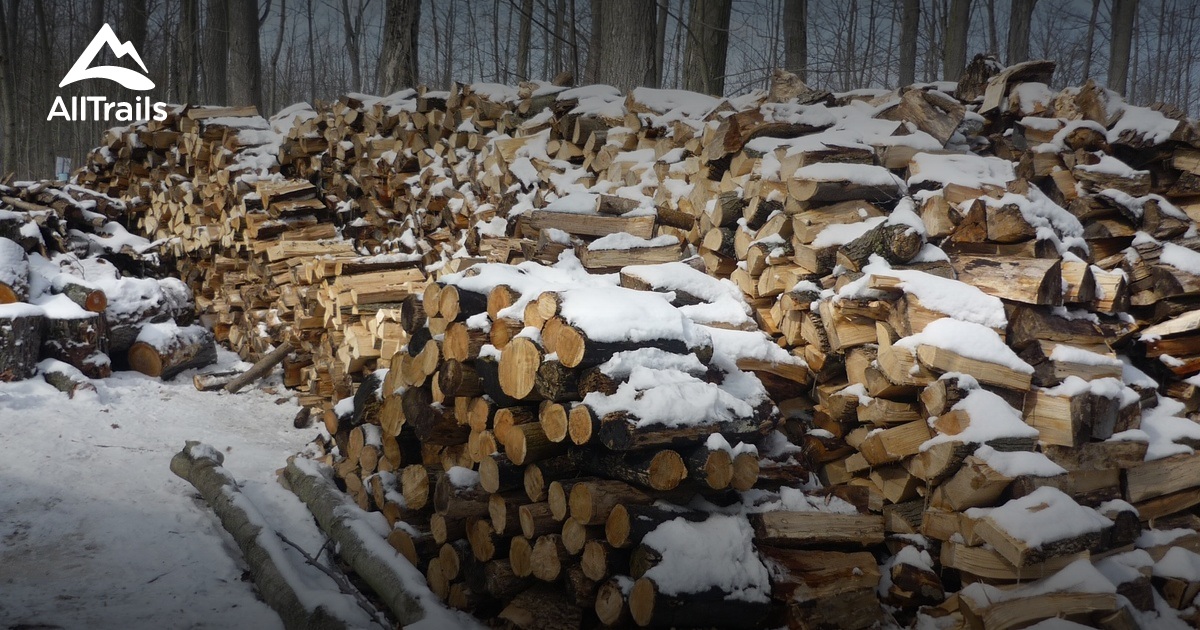 Best hikes and trails in Mountsberg Conservation Area | AllTrails