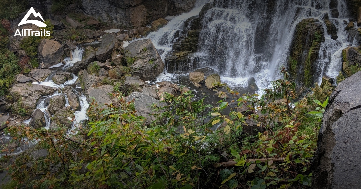Bästa medelsvåra lederna i Inglis Falls Conservation Area | AllTrails
