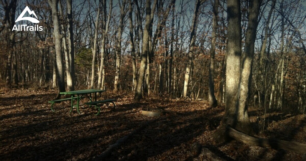 Best hikes and trails in Stephens State Forest - Woodburn Unit | AllTrails